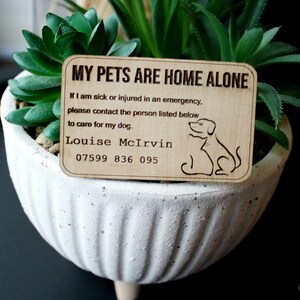 Pet Home Alone Wooden Card | Dog Home Alone Card | Cat Home Alone Card ...