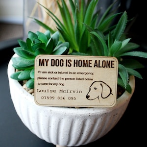 Pet Home Alone Wooden Card | Dog Home Alone Card | Cat Home Alone Card ...