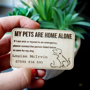 Pet Home Alone Wooden Card | Dog Home Alone Card | Cat Home Alone Card ...