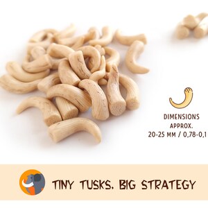 Miniature Faux Tusks, Fangs, Claws, Teeth // Resources for Tabletop ...