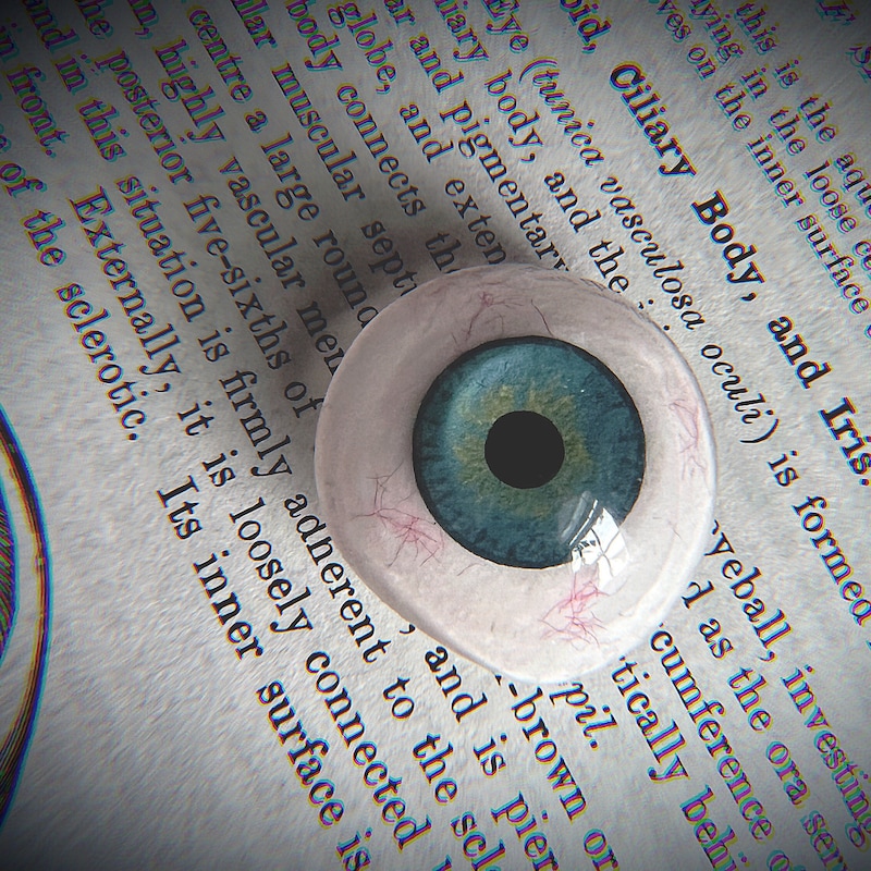 Fake Eyeball Glass - Etsy