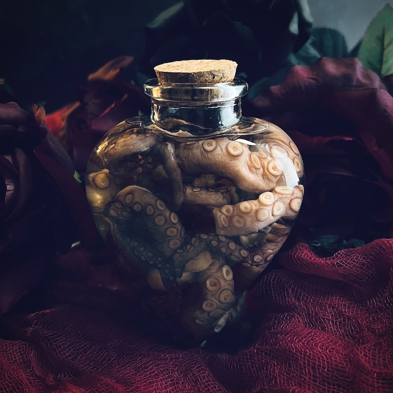 Octopus Heart - Etsy