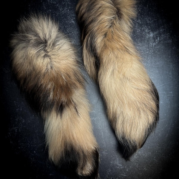 Tanuki Therian Tail - Etsy