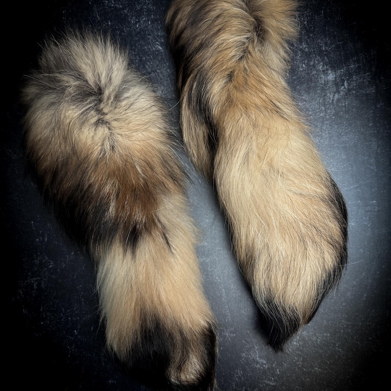 Tanuki Cosplay - Etsy