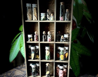 Curiosity Jars - Etsy