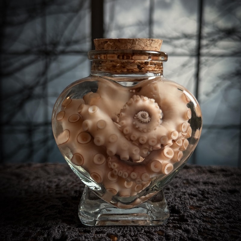 Heart in a Jar Specimen - Etsy