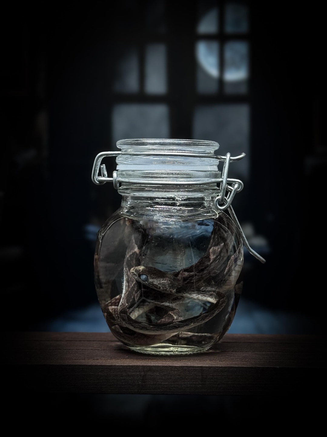 Rat Snake Wet Specimen Apothecary Bottle Real Fluid Preserved Reptile ...