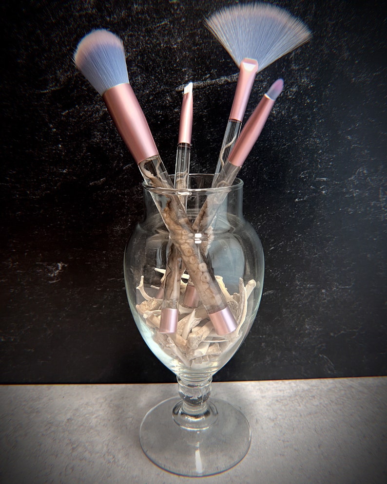 Octopus Tentacle Makeup Brushes | Real Wet Specimen Floating Taxidermy ...