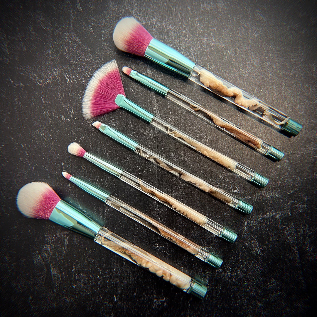 Octopus Tentacle Makeup Brushes | Real Wet Specimen Floating Taxidermy ...