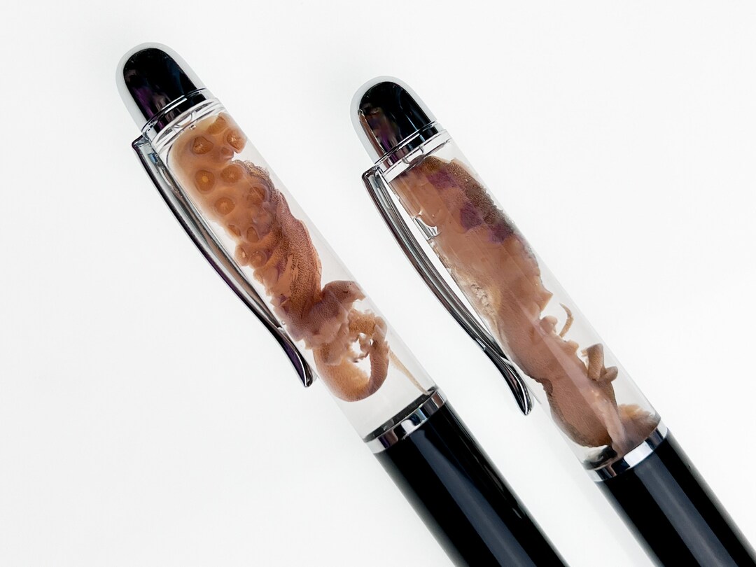 Octopus Tentacle Ink Pen Real Wet Specimen Floating Taxidermy Oddities ...