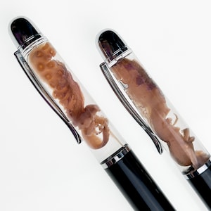 Octopus Tentacle Ink Pen | Real Wet Specimen Floating Taxidermy Oddity ...