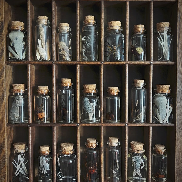 Specimen Jars - Etsy