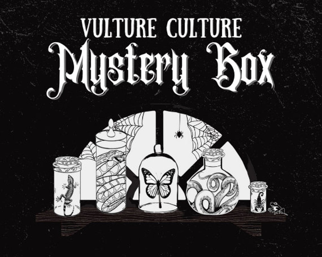 Vulture Culture Mystery Box Custom Curated Oddities & - Etsy