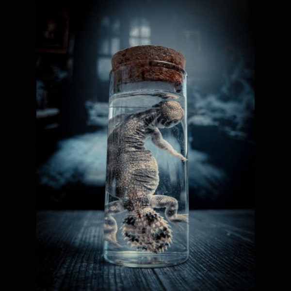 Wet - Etsy