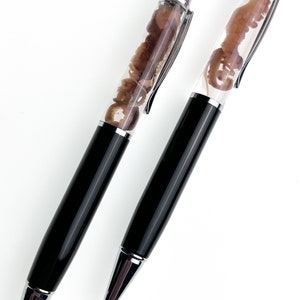 Octopus Tentacle Ink Pen | Real Wet Specimen Floating Taxidermy ...