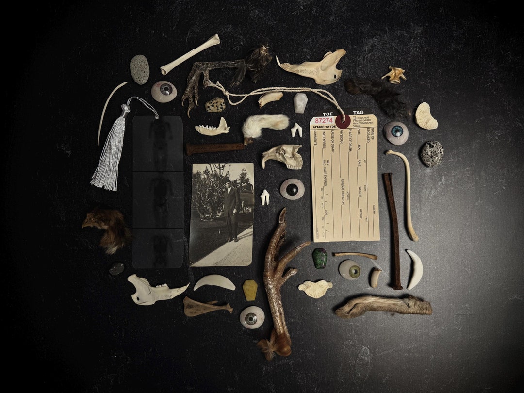 Oddity Mystery Bags | Mini Curiosity Collectible Vulture Culture Gift ...