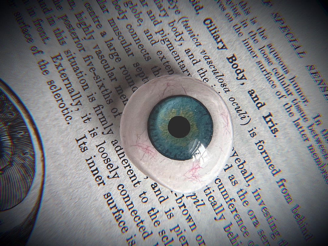 Prosthetic Eyeball | Acrylic Human Fake Eye Medical Oddity Curio ...