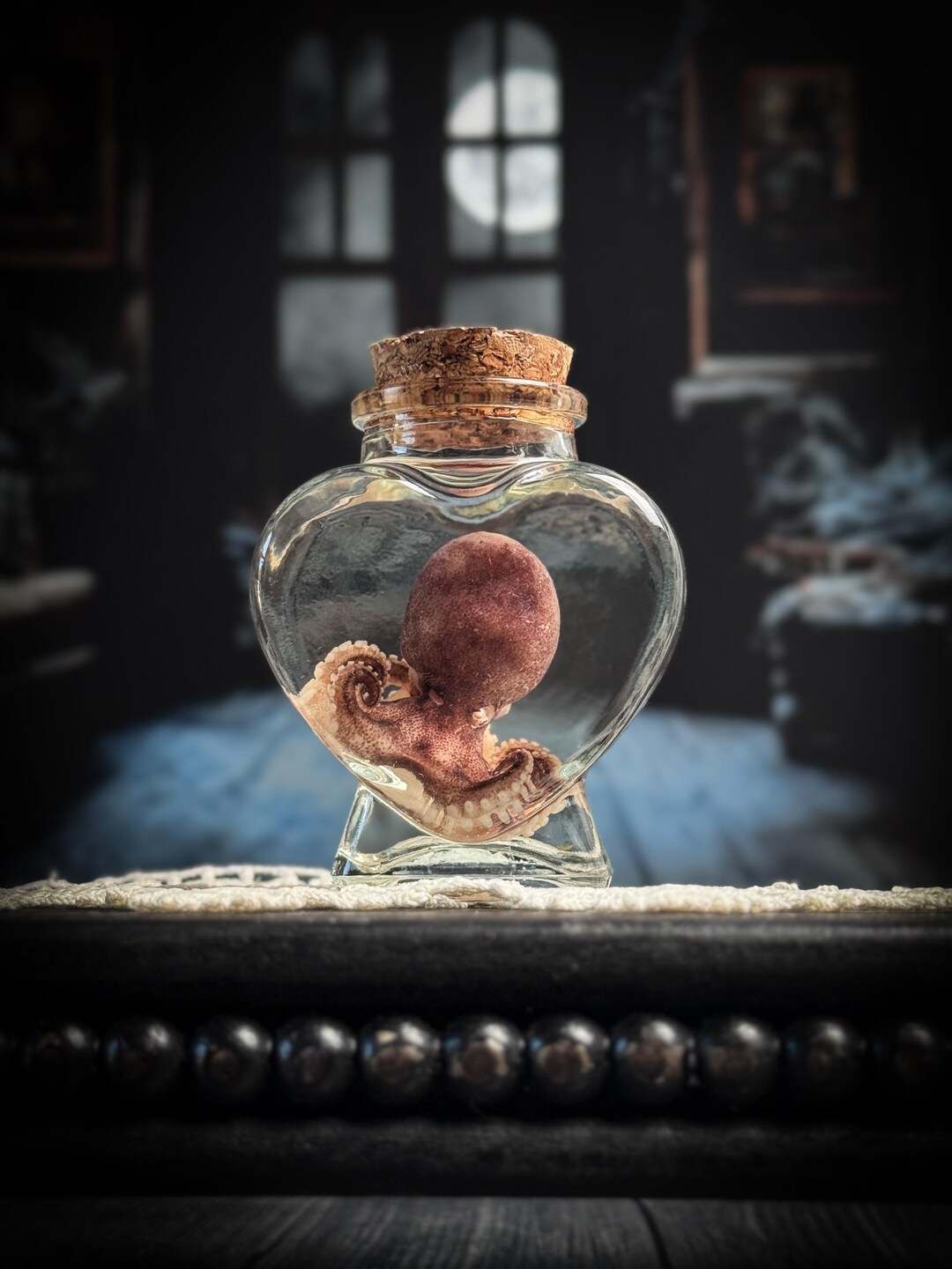Baby Octopus Wet Specimen Heart Apothecary Bottle | Real Taxidermy ...