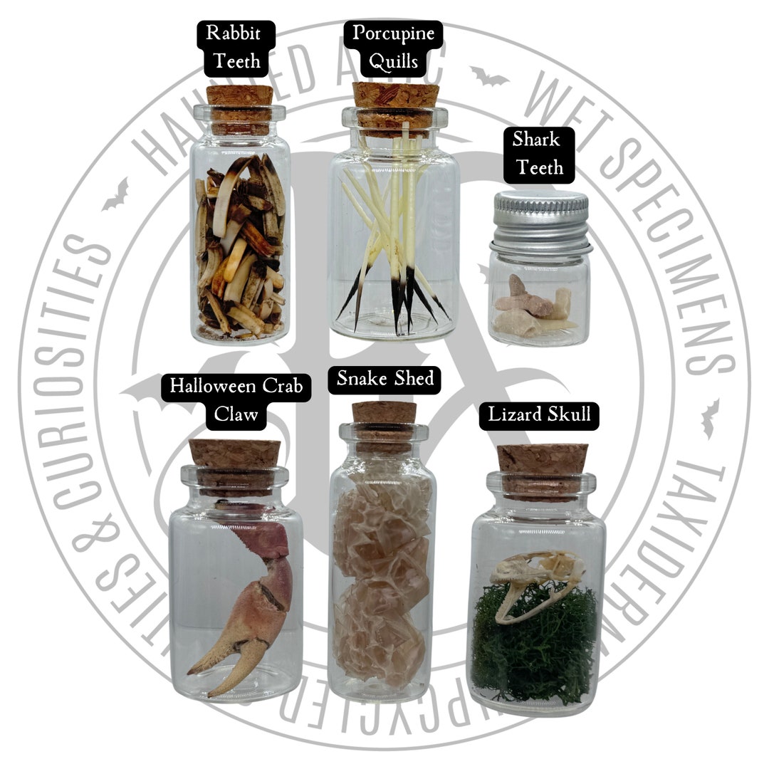 Mini Curiosity Jars | Assorted Animal Mystery Apothecary Bottles ...