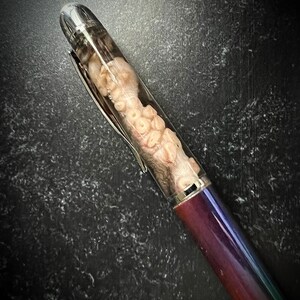 Octopus Tentacle Ink Pen Real Wet Specimen Floating - Etsy