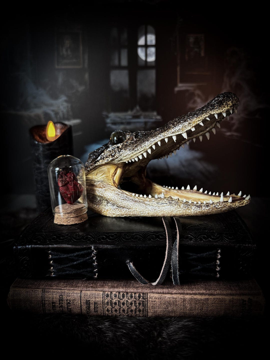 Alligator Head Taxidermy Specimen | Real Mummified Preserved Animal ...