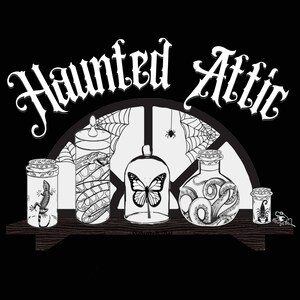 Mini Wet Specimen Mystery Box Fluid Preserved Taxidermy Oddities ...