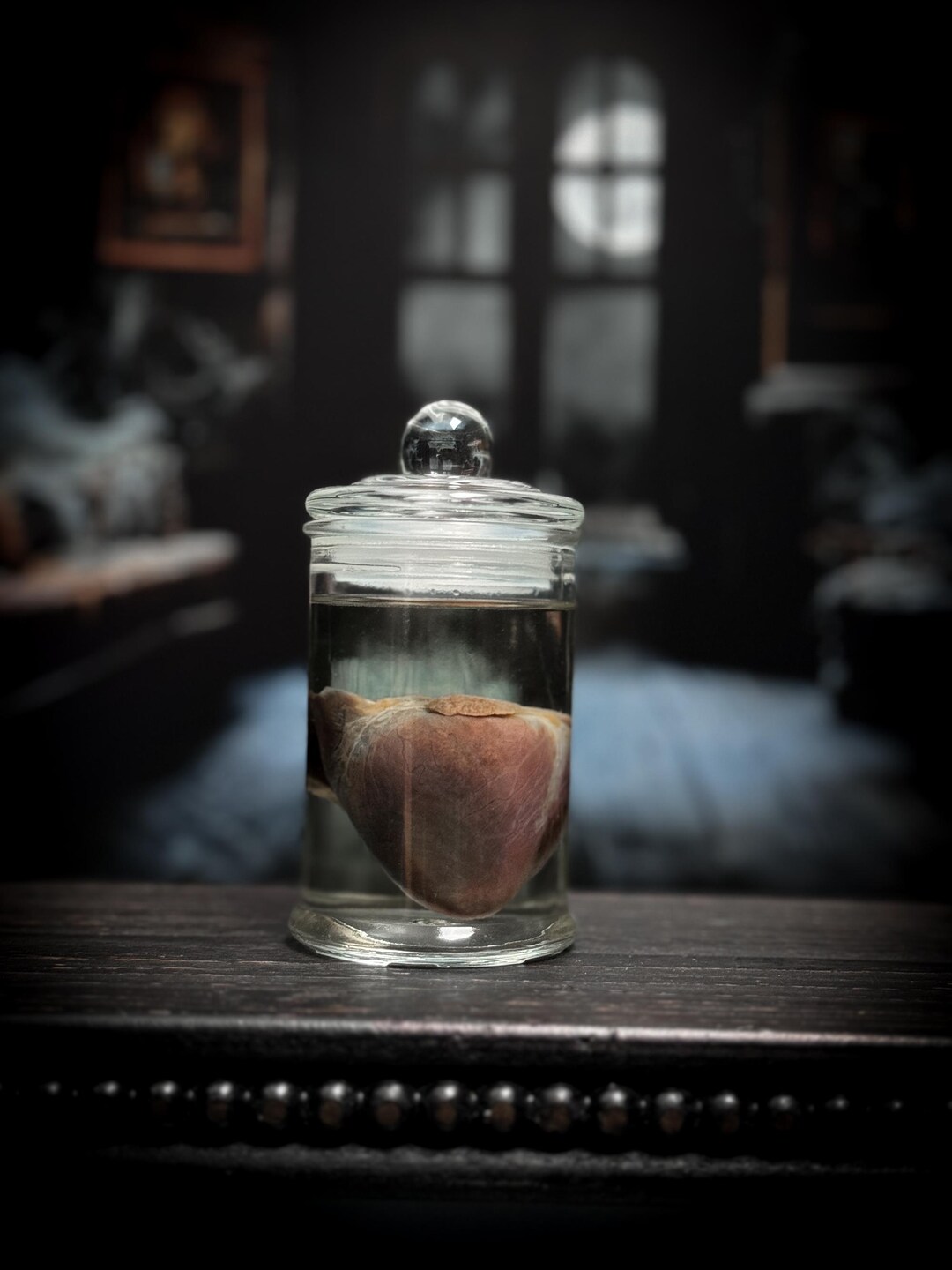 Beaver Heart Wet Specimen Oddity | Real Fluid Preserved Animal ...