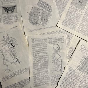 Vintage Medical Encyclopedia Dictionary Pages With Anatomy ...