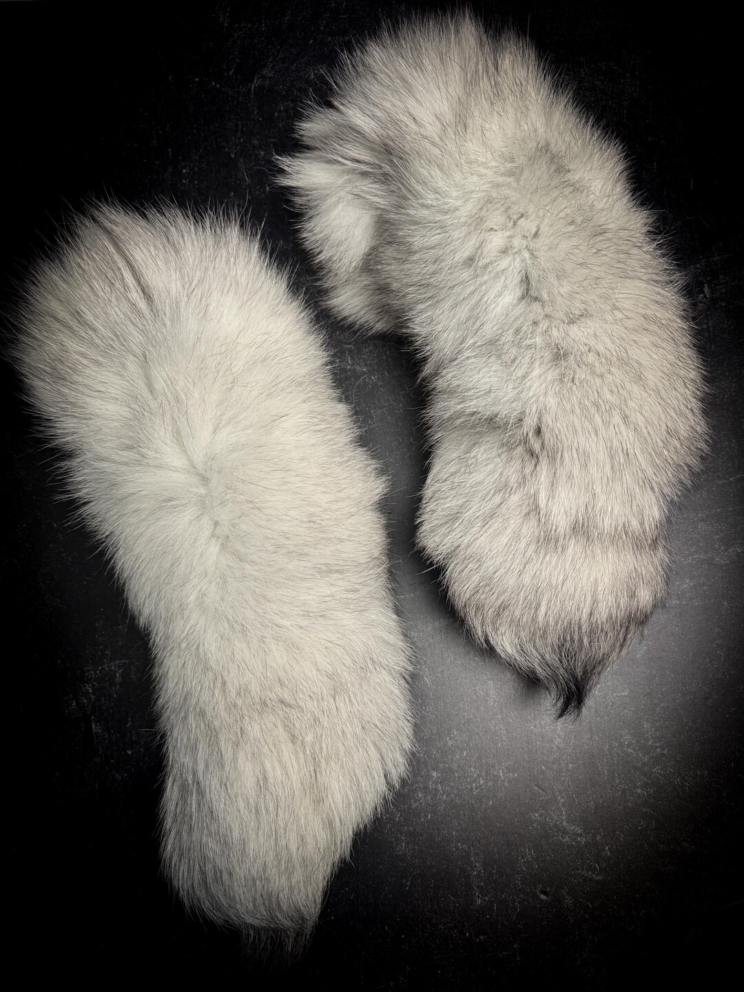 Real Blue Fox Tail Keychain | Tanned & Preserved Taxidermy Animal ...