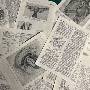 Vintage Medical Encyclopedia Dictionary Pages With Anatomy ...