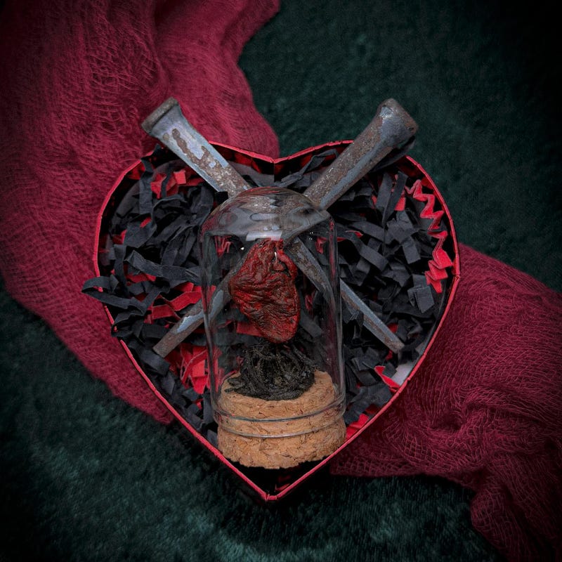 Preserved Animals Hearts - Etsy