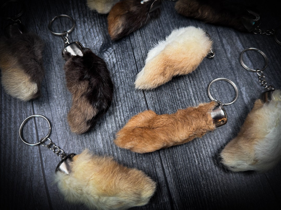 Lucky Rabbit Foot Keychain Real Preserved Animal Taxidermy Curiosity ...