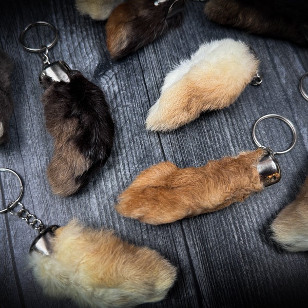 Real Rabbit Foot Keychain - Etsy