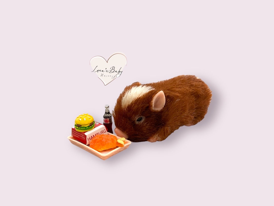 Silicone Animal Food Set, Reborn Animal Foodie Set - PIGLET NOT ...