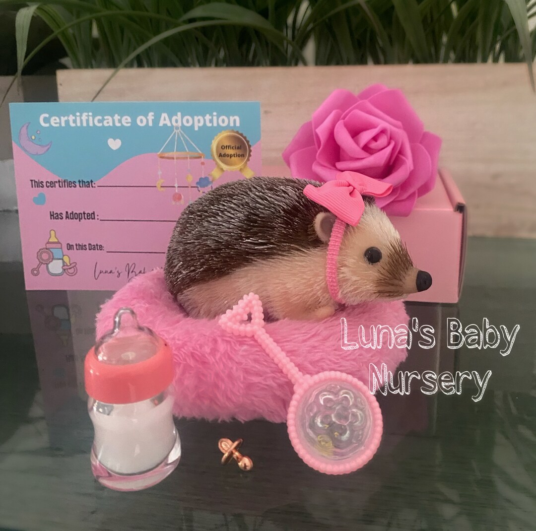 Teacup Silicone Hedgehog Adoption Gift Set Reborn Brown Hair - Etsy UK