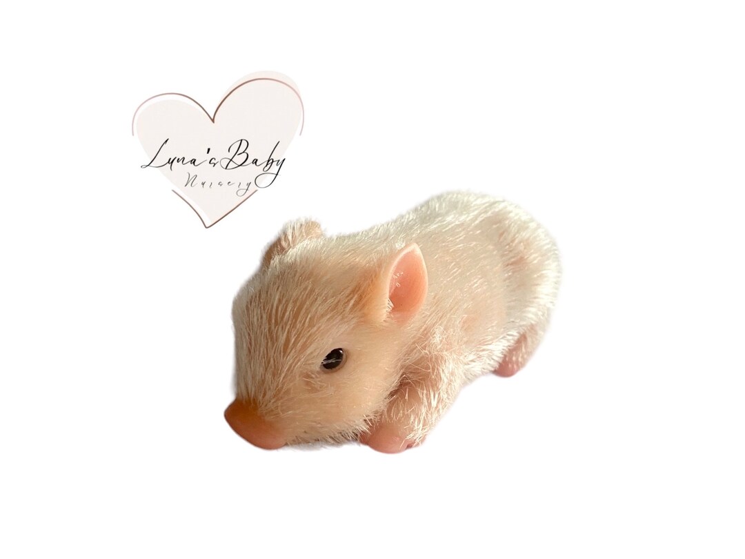 Vanilla Teacup Silicone Pig Adoption Gift Set, White Hair Reborn Pig - Etsy