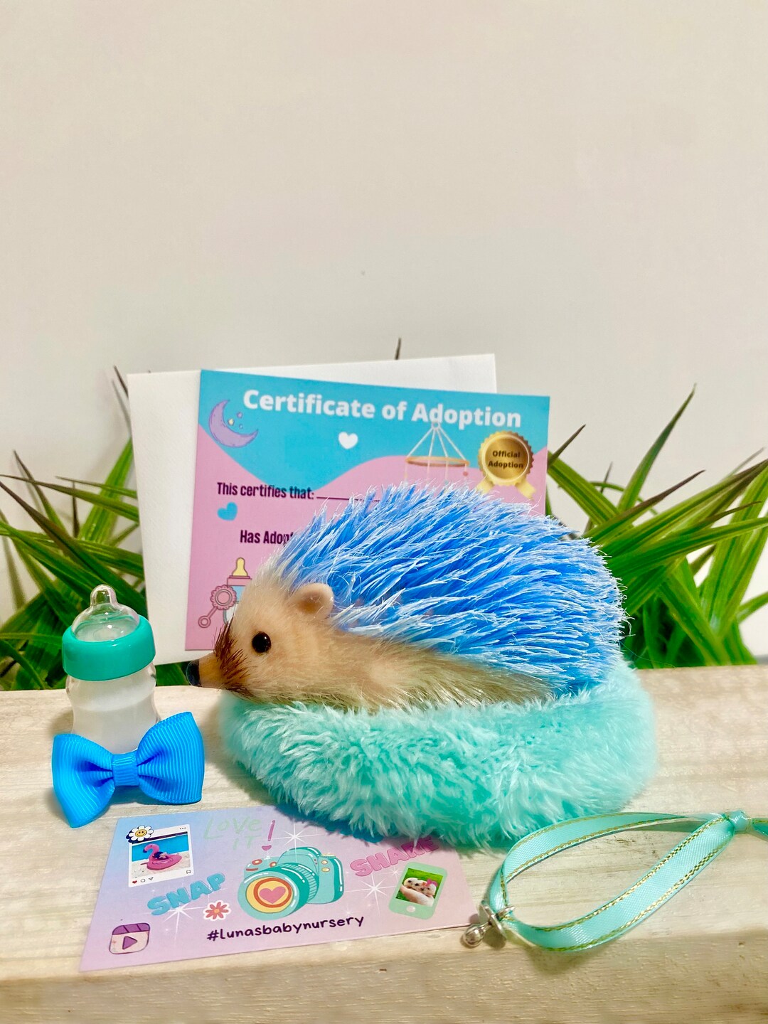 Silicone Hedgehog Adoption Gift Set, Sonic Hedgehog - Etsy