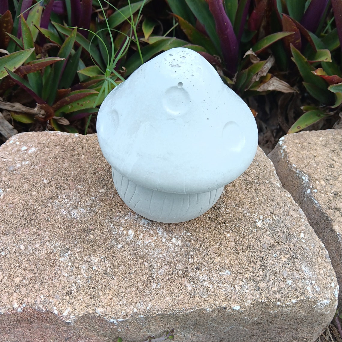 Concrete Ready to Paint Mushroom Hide a Key Container - Etsy