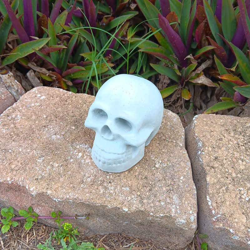 Concrete Skulls - Etsy