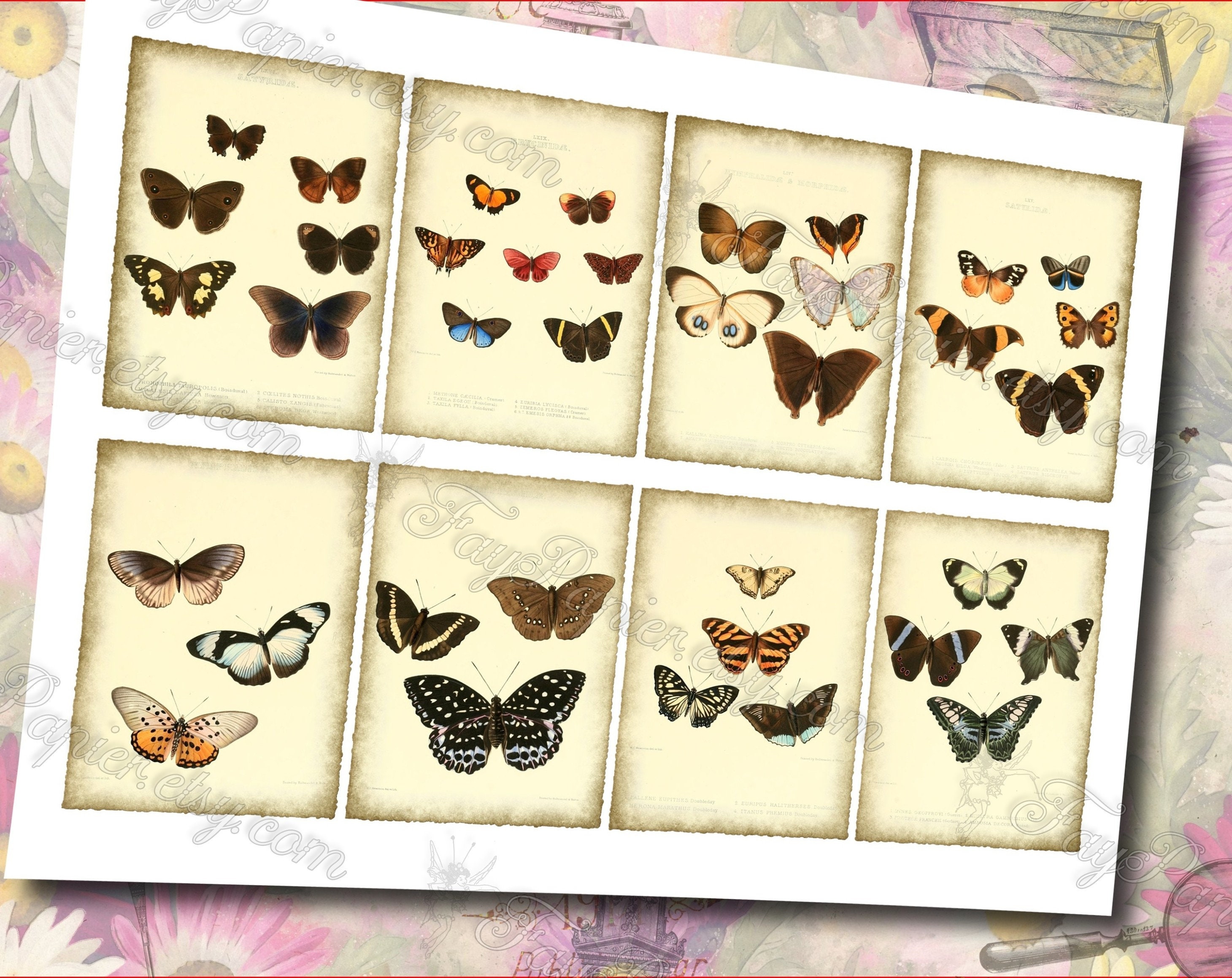Vintage Butterflies 51 Set of 200 ATC Cards in JPG Format - Etsy