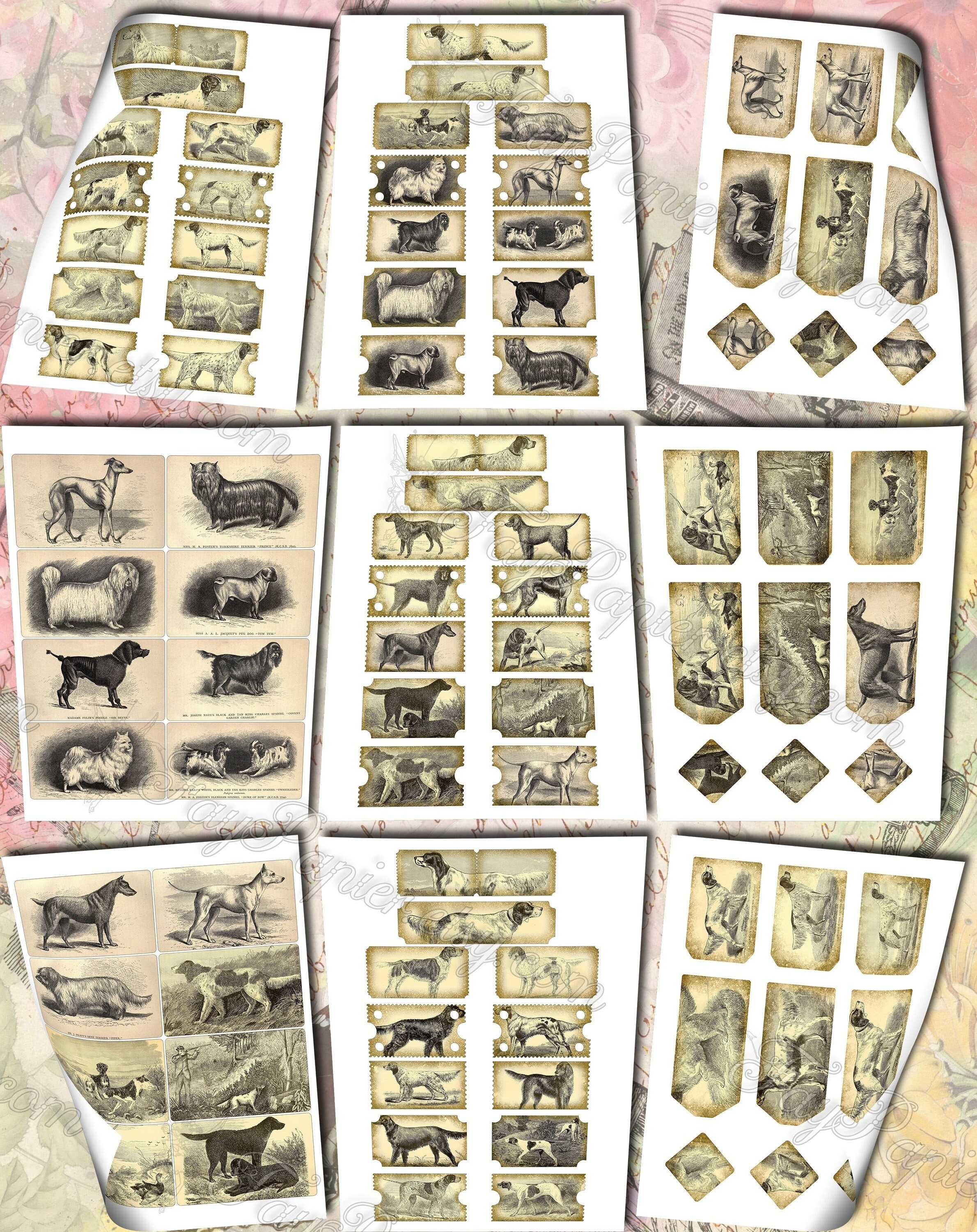 Black-and-white Dogs 6 Set of 40 Pictures on 300 Cards With - Etsy