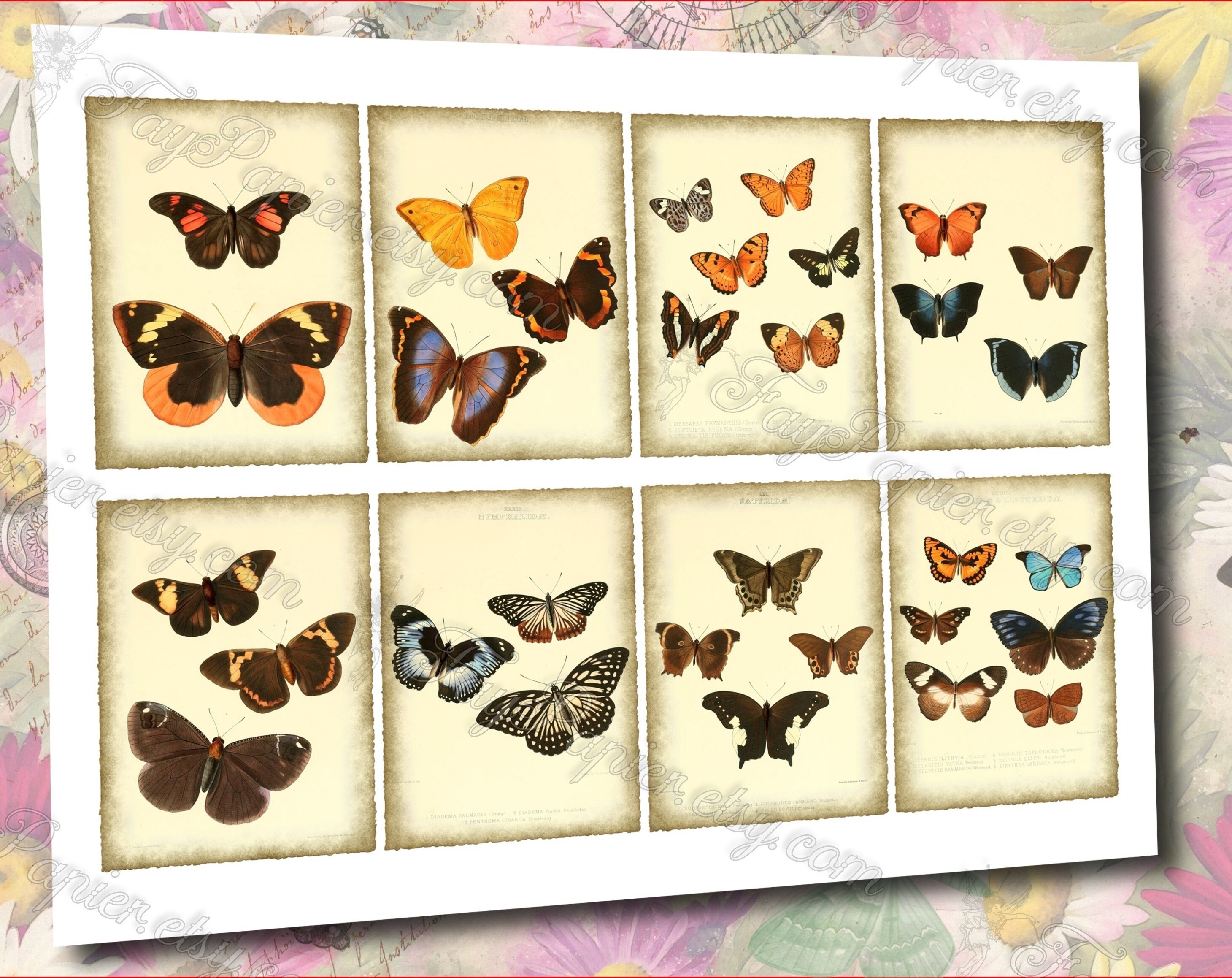 Vintage Butterflies 51 Set of 200 ATC Cards in JPG Format - Etsy