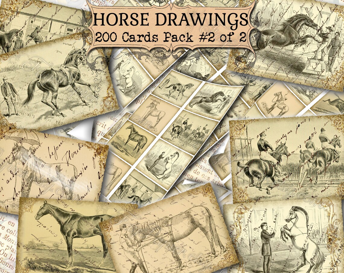 Horse Drawings 2 Set of 200 ATC Cards in JPG Format With Antique ...