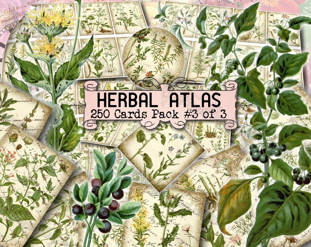Herbal Atlas 3 Set of 40 Pictures on 250 Cards in JPG Format With ...