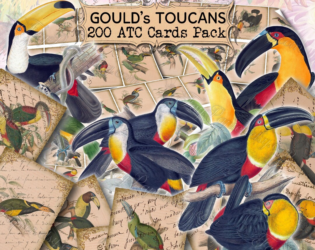 Gould's Toucans Set of 200 ATC Cards in JPG Format Antique ...