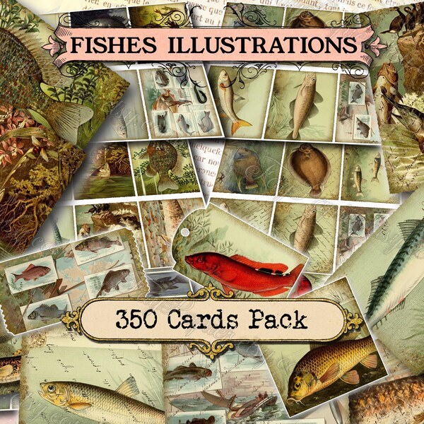 Old Book Scan - Etsy