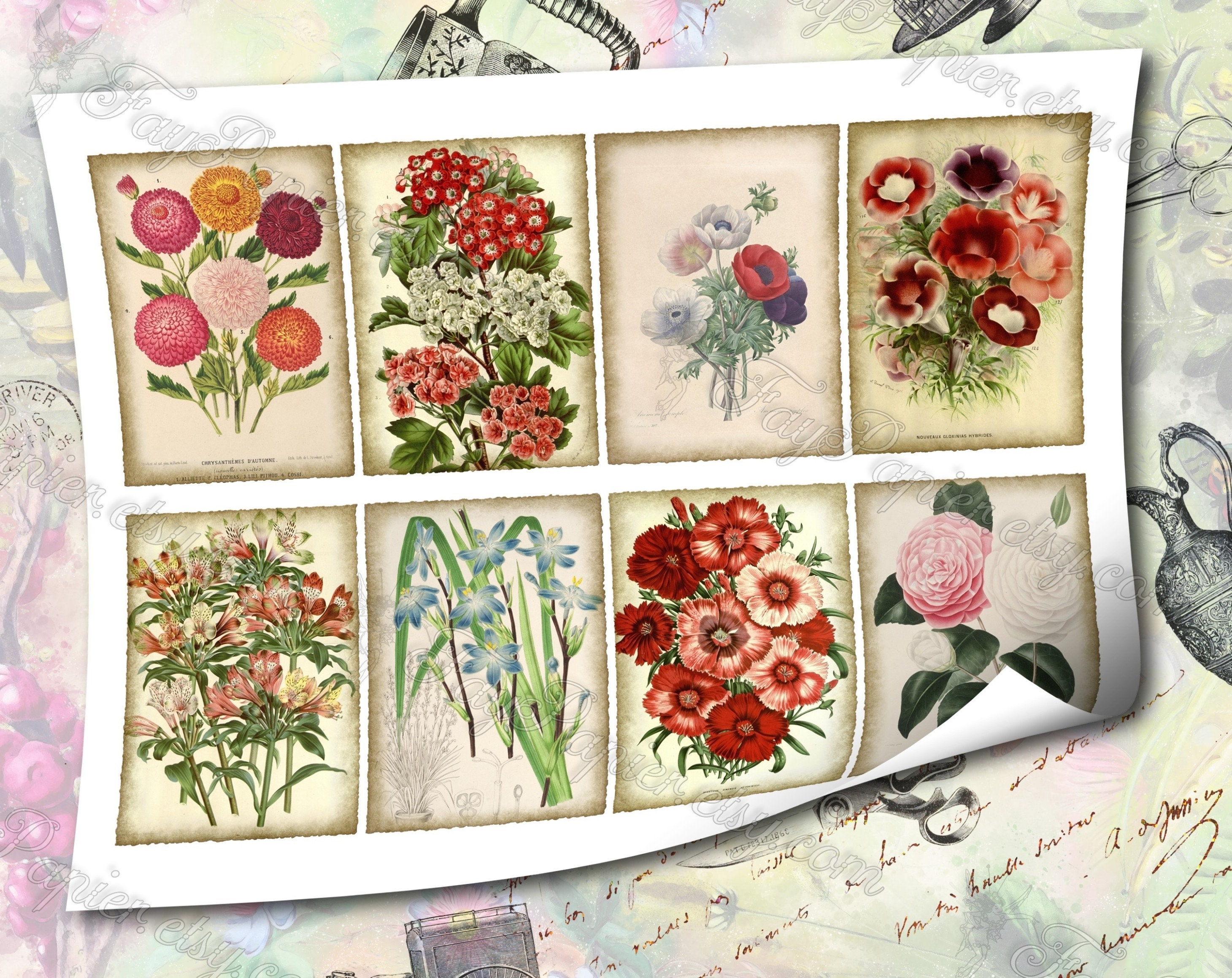 Flower Bouquets 3 Set of 200 ATC Cards in JPG Format With Antique ...