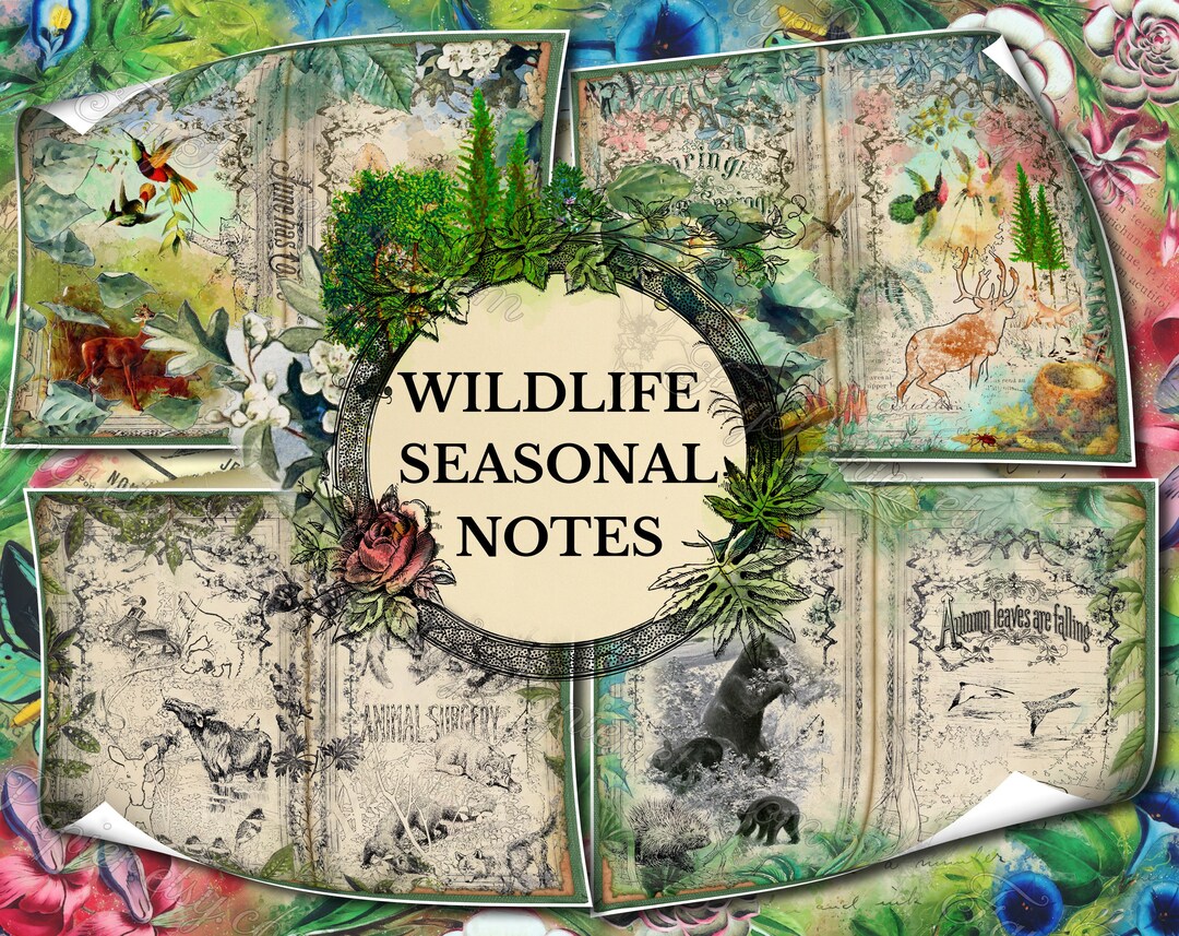 Wildlife Seasonal Notes Set of 20 Junk Journal Sheets With Digital ...