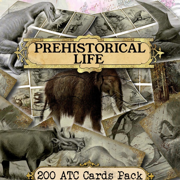 Prehistoric Life - Etsy