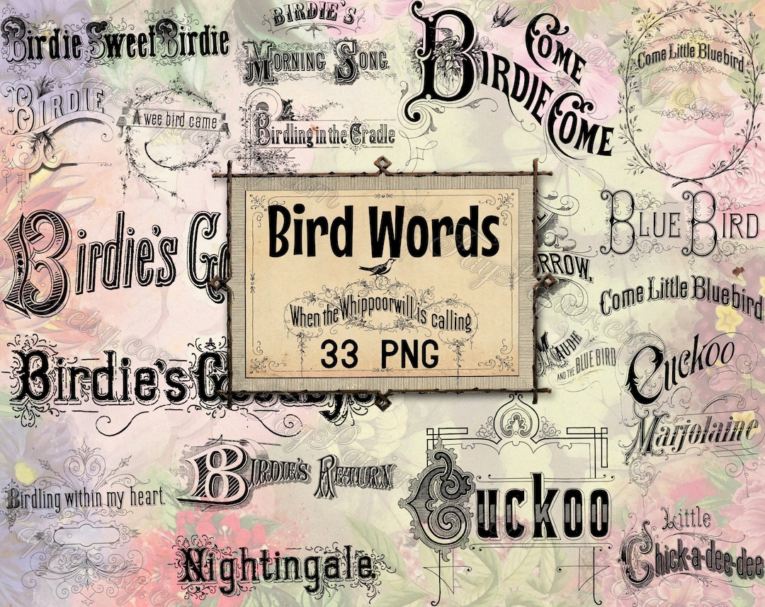 PNG BIRD WORDS Set of 33 Files in Png Format With Transparent ...